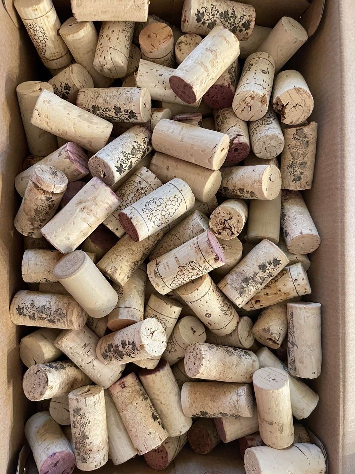 Lot Of 160+ Used Wine Corks-Mixed | eBay