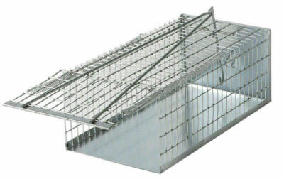 TRAPPOLA A GALLERIA PER TOPI 30x16x12 h GABBIA CATTURA RATTI CON MOLLA ...