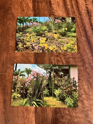 Tropical Island Of Guam Vintage Postcard Lot Of 2 Postcards Flowers ...