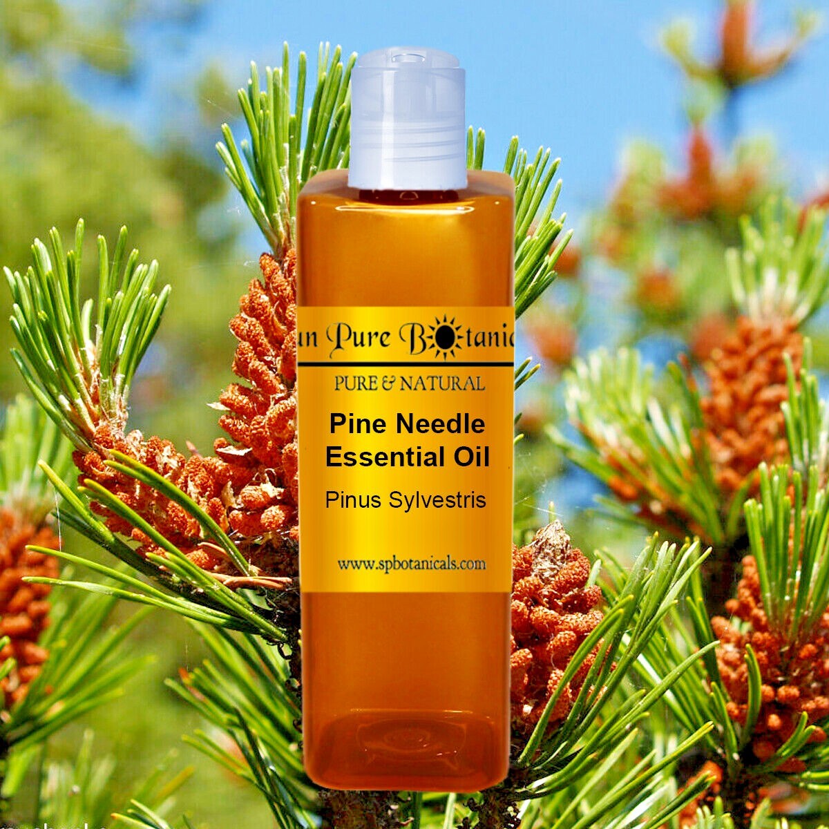 1oz - 16oz · Pine Essential Oil · 100% Pure & Natural · FREE SHIPPING ...