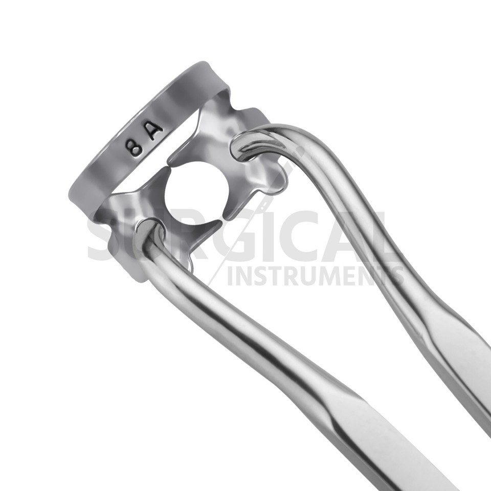 5 Pcs Endodontic Rubber Dam Clamps #8A Stainless Steel Dental German ...