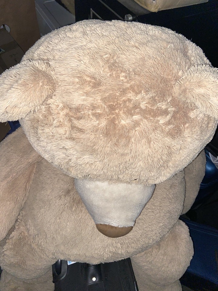 Giant 58” Teddy Bear | eBay