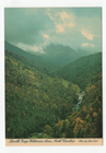 Postcard - Linville Gorge Wilderness Area, North Carolina | eBay