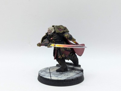 Warhammer 40k: Adeptus Custodes Blade Champion - Pro Painted (AT106) | eBay