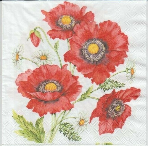 3 lose Servietten ~ Rote Blumen Poppy Klatschmohn | eBay