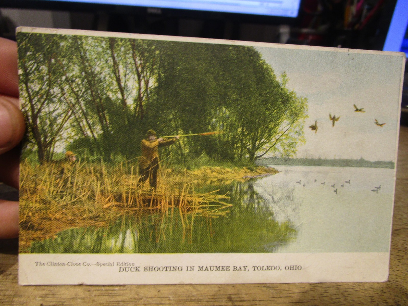 Y5 Vintage Old OHIO Postcard TOLEDO Generic Duck Shooting Maumee Bay ...