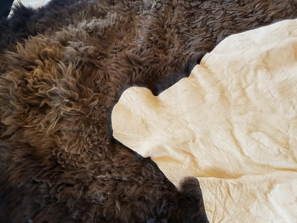 Buffalo Hide Rug, 'Large' Premium Winter Coat Tanned Bison Rug, Made In ...