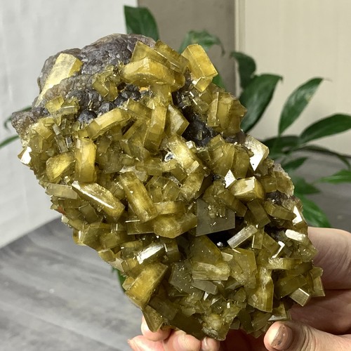 2.72LB Shiny Golden Cuboid Barite Crystal Based on the Purple Spherical ...