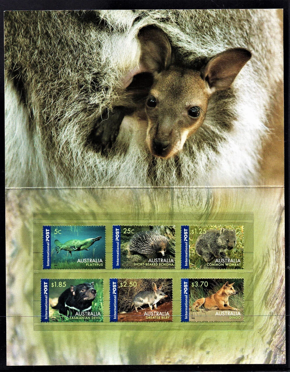 Native Australian Animals Collage