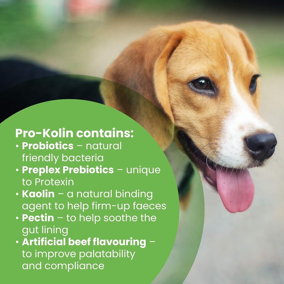 Protexin pet health Pro-Kolin for Dogs and Cats Probiotic Paste and ...