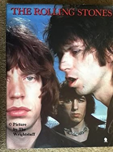 The Rolling Stones Hardcover Robert Palmer 9780385279253| eBay