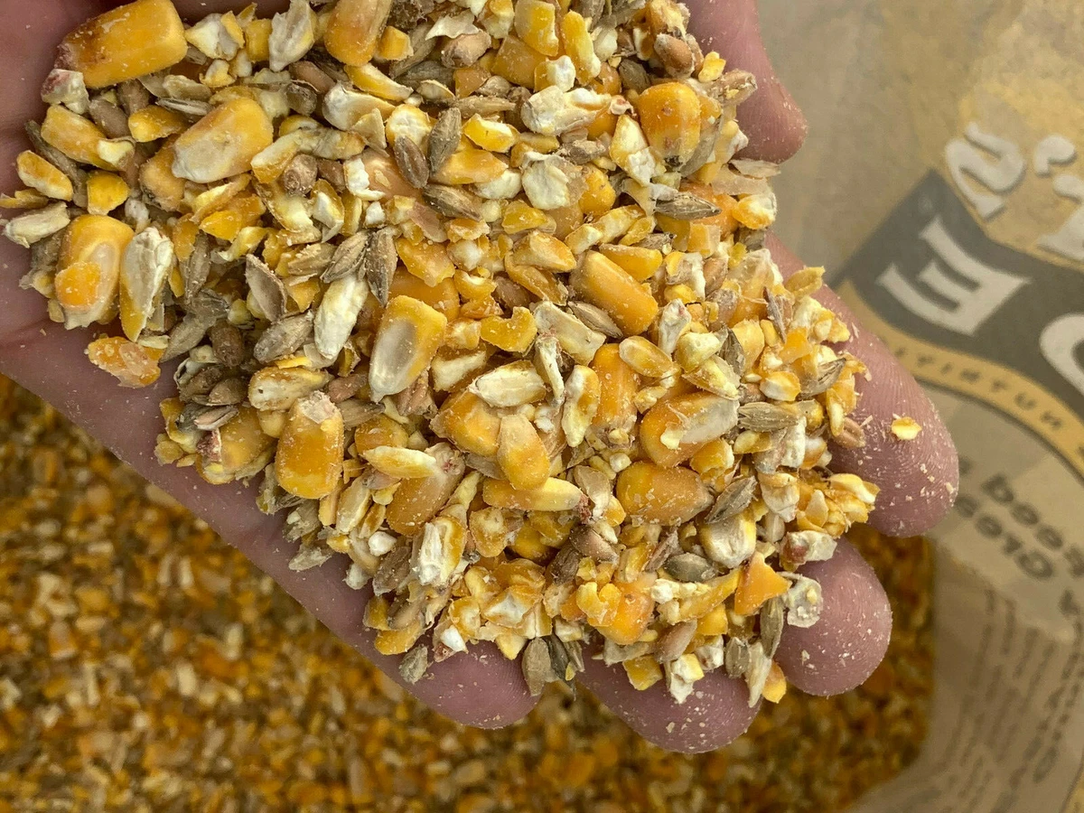 Chicken Scratch Feed