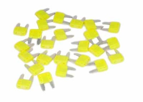 Multi-Purpose Fuse ACDelco Mexico 88861352 for sale online | eBay