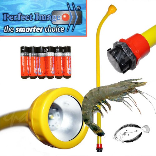 New PERFECT IMAGE Prawn Flounder Gar Fish Sqiud LIGHT LED Q3 CREE | eBay
