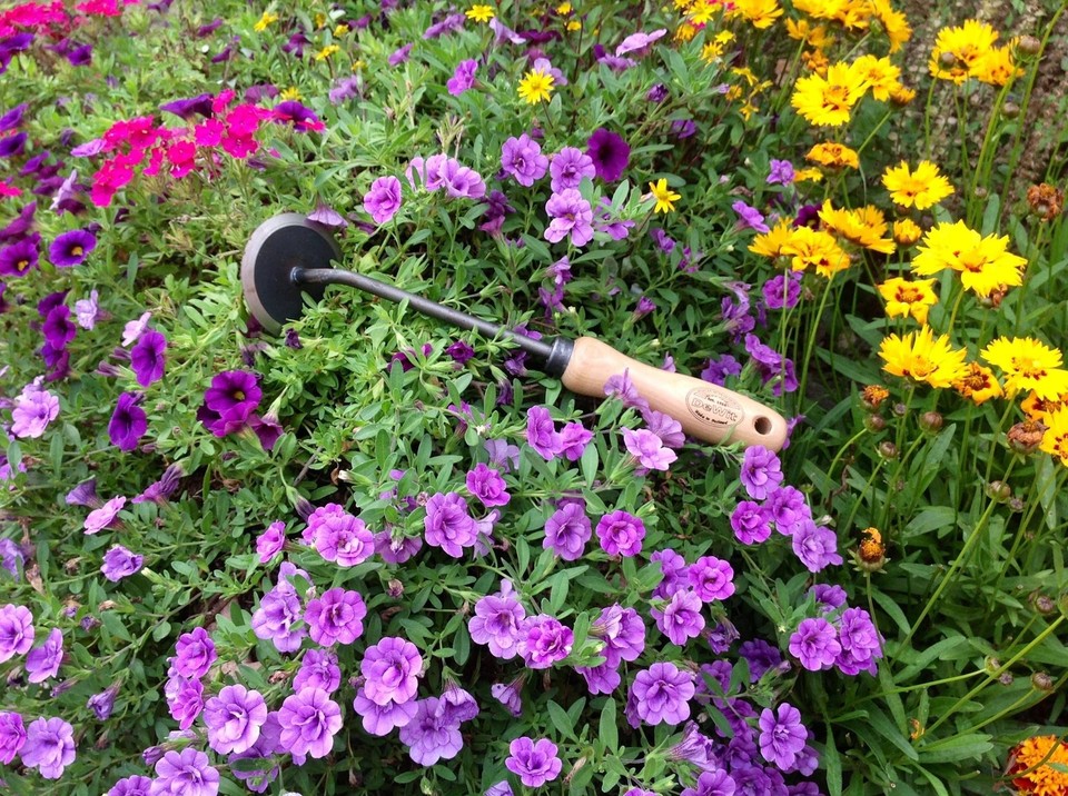 N Dewit Garden Disc Weeder With Short Handle | eBay