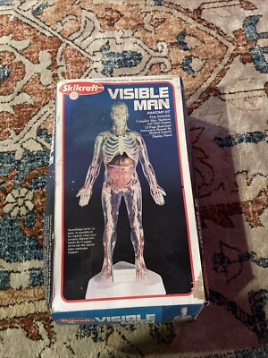 Visible Man Anatomy Plastic Model Kit #74622 With Stand By Skilcraft ...