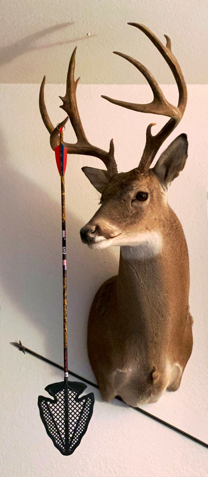 Archery Arrow SWAT Fly Swatter SUMMER PESTY FLY SPECIAL!!! | eBay