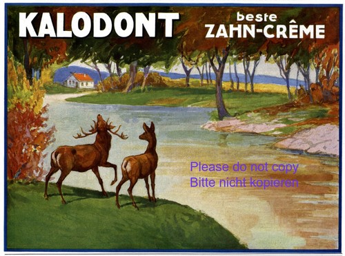 Zahnpasta Kalodont Reklame 1914 Reh Hirsch Lichtung Fluss Idylle ...