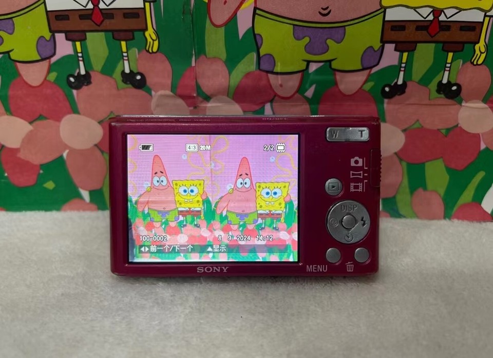 Sony Cybershot DSC-W830 20.1MP 8x Optical Zoom Digital Camera Red-90 ...