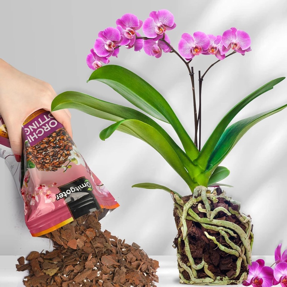 Orchid Potting Mix 1Qt, Premium Soil Medium for Potting and Repotting ...