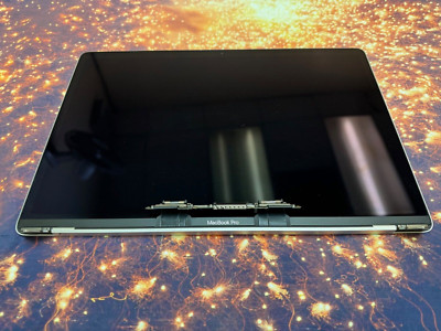 OEM Macbook Pro 15" A1707 2016 2017 LCD Display Assembly. SPACE GRAY ...