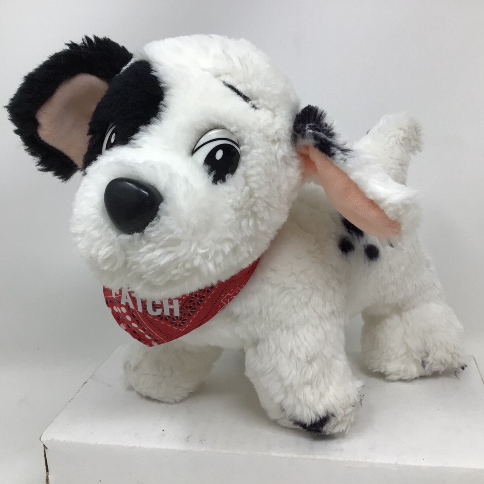 Do Dalmatians Have 101 Spots