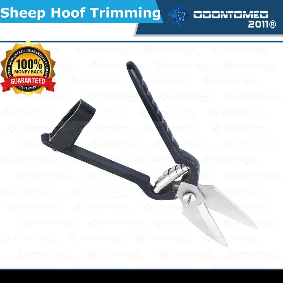Hoof Rot Shears Sharp, pointed blades trim sheep, dairy, and goat ...