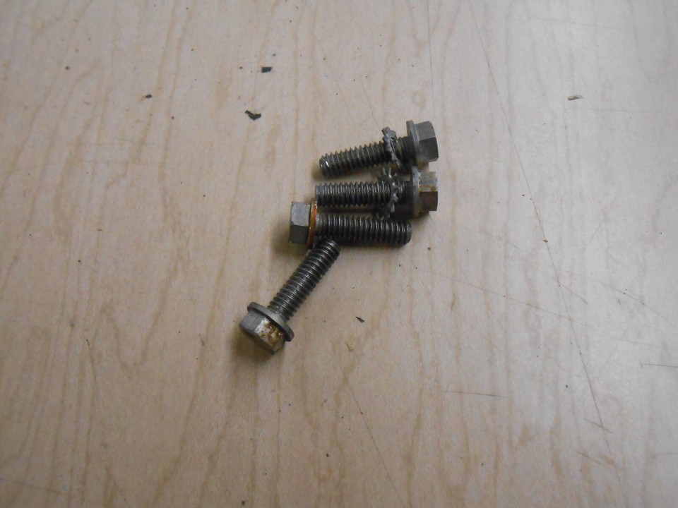 309646 OMC Johnson 1975 25hp 25R75B Outboard coil screw (4) T115 | eBay