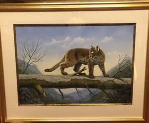 Peter JEPSON, original watercolour/pastel painting - Big Wild Cat | eBay