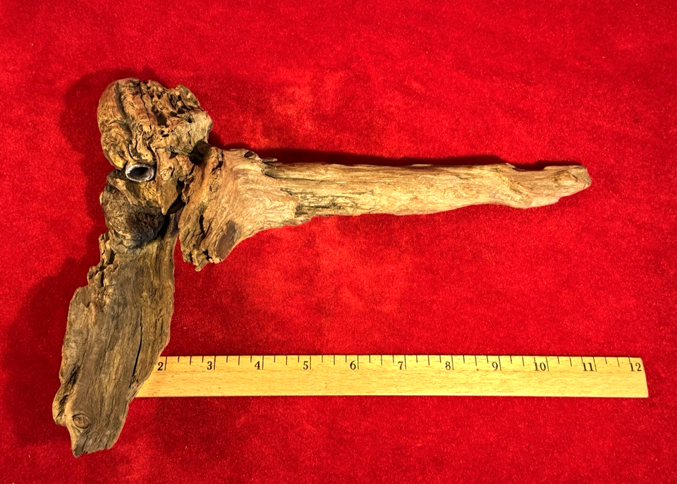 RARE CIVIL WAR BULLET IN WOOD / FOUND NEAR GETTYSBURG ETERNAL LIGHT ...