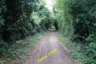 Photo 6x4 Harrow Way - north of Overton Foxdown c2013 | eBay UK