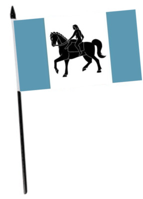 Coventry Small Hand Waving Flag 6" x 4" - English City | eBay UK