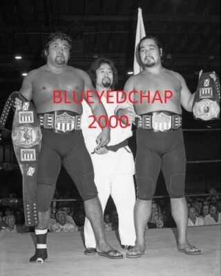 MASA SAITO & MR SATO WRESTLER 8 X 10 WRESTLING PHOTO NWA WWWF | eBay