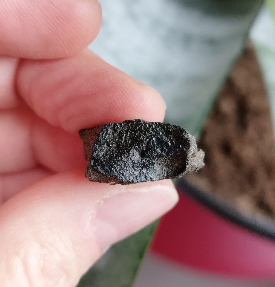 Meteorite achondrite Volcanic angrite Oued Namous 001 3.7g | eBay