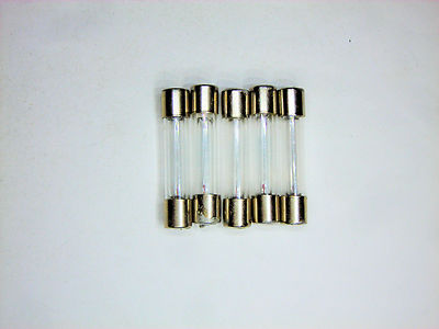 Fuse Type Lamp 8V 250mA 5 pcs | eBay