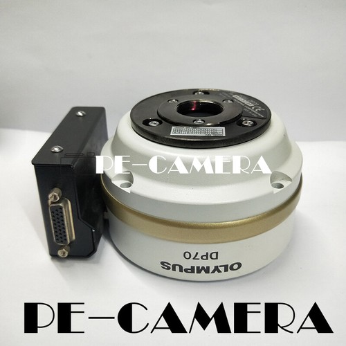 1PCS OLYMPUS DP70 (3-month warranty/SHIP DHL) | eBay