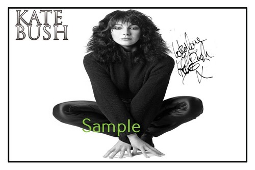 Kate Bush large autograph signed 12x18 inch photograph poster - Top ...
