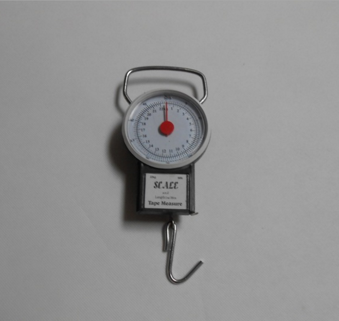 Portable Clockface Digital 22kg Weighing Spring Balance Hanging Scale ...