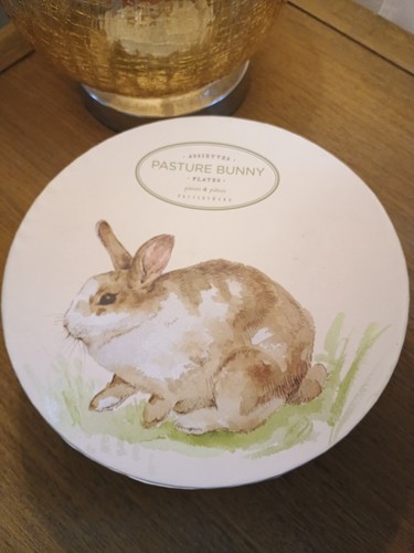 Pottery Barn Pasture Bunny Salad Plates, Set of 4 Original Box! 8 ...