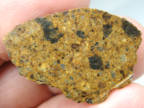 NWA 15153 Official Meteorite LL4/5 Chondrite - G657-0005 - 6.05g - COA ...