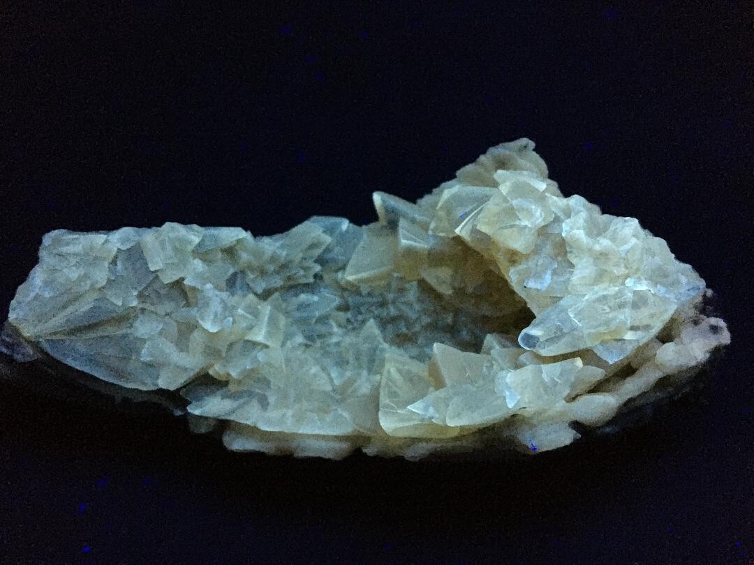 KB: BRIGHT SW FL. CLAM SHELL WITH NICE CALCITE CRYSTALS FROM FORT DRUM ...