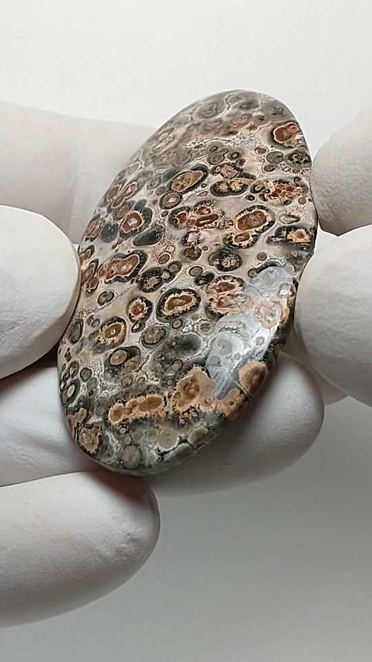Leopard Skin Jasper Cabochon Large | eBay