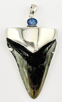 Large Fossil Meg Shark Tooth Pendant – Megalodon Tooth with Sterling ...