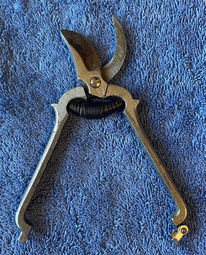 ANGESA CURVED KITCHEN SECATEUR/SHEARS/SCISSORS with SPRING, ITALY, NEW ...