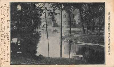 Roaring Springs Pennsylvania Famous Spring and Dam Scenic View Postcard ...