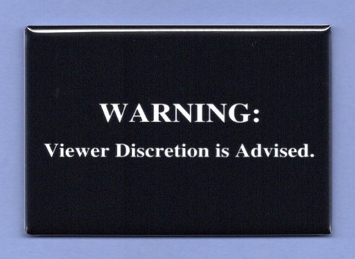 WARNING VIEWER DISCRETION ADVISED *2X3 FRIDGE MAGNET* SIGN HUMOROUS ...