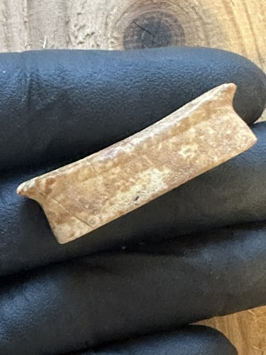 Tomachee Artifacts 👣 ESKIMO INUITS LARGE LABRET LIP CHEEK PLUG BERING ...