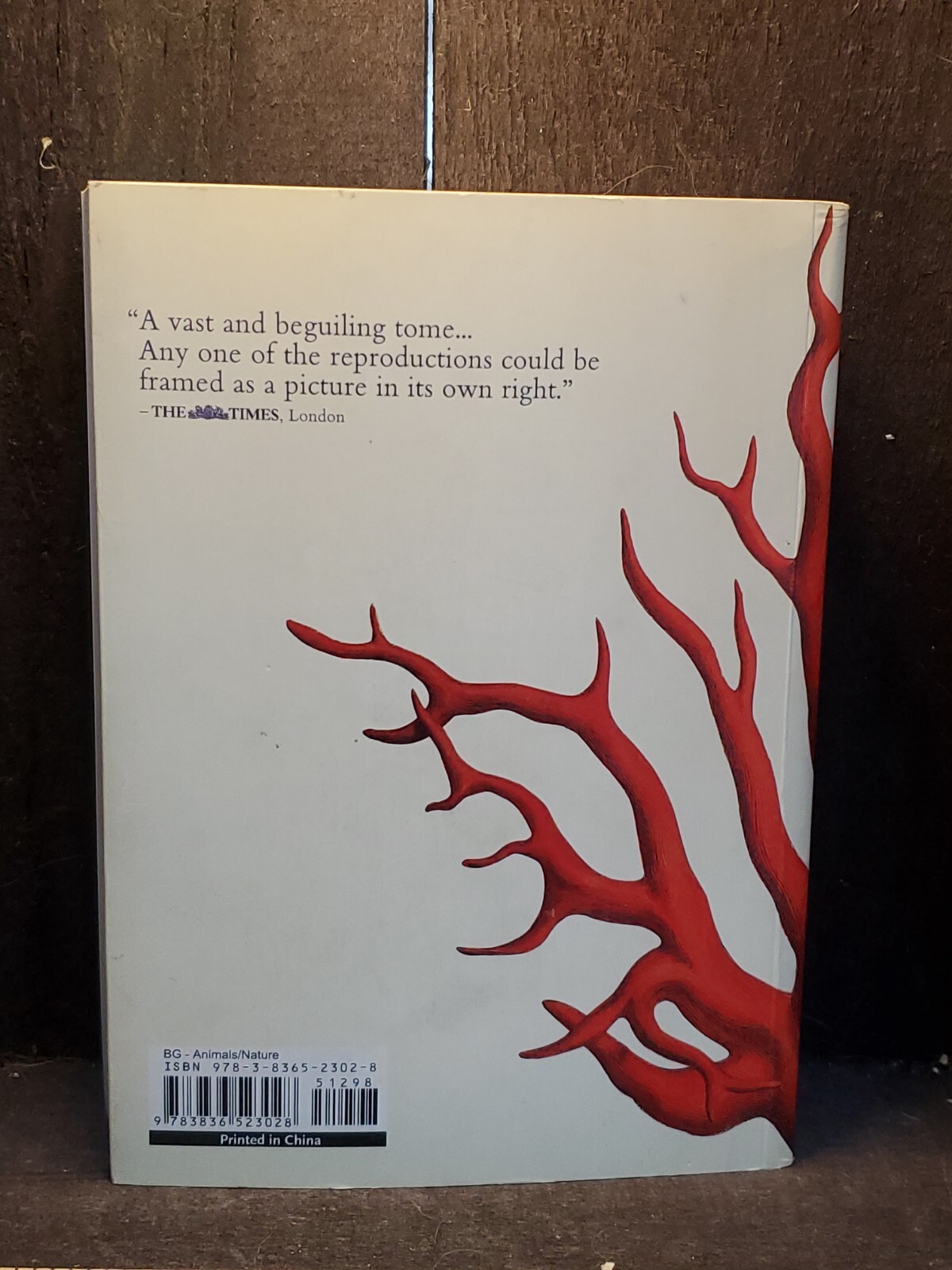 CABINET OF NATURAL CURIOSITIES by Albertus Seba Nature Animals plates ...