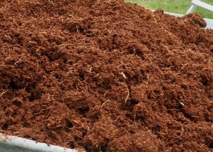 9L Coco Coir Brick Multi Purpose Potting Compost Compressed Peat Free ...