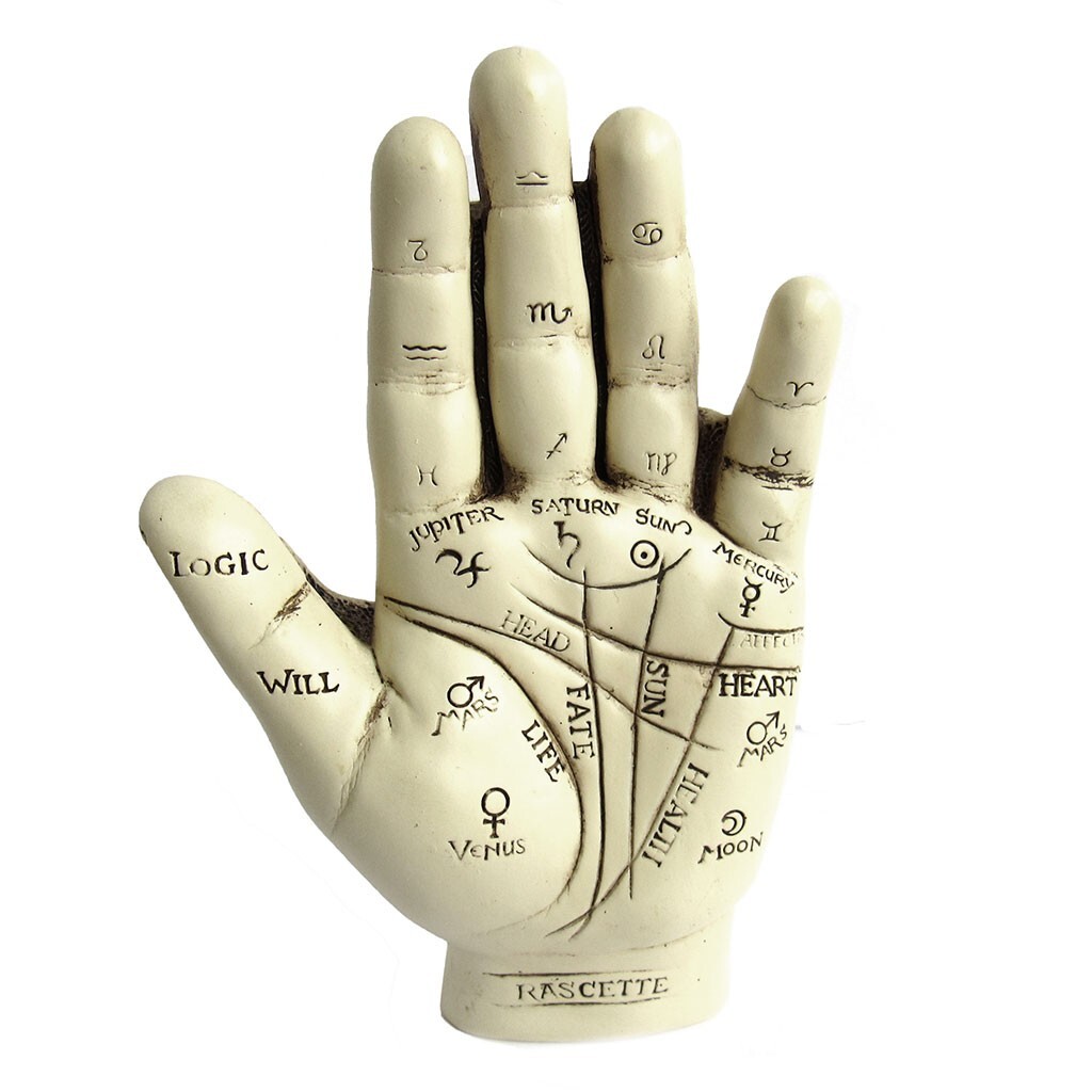 NEW Palmistry Hand Model Resin Sculpture w/ Booklet Fortune Telling ...